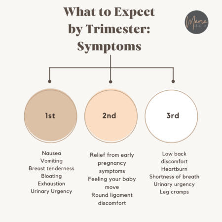 How Many Weeks is 6 Months Pregnant? - Mama Did It