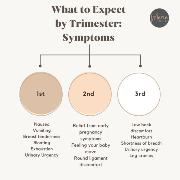 How Many Weeks is 6 Months Pregnant? - Mama Did It